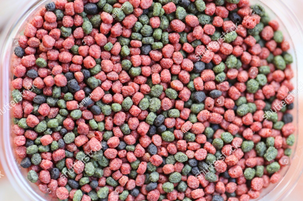 Cat Food Stbbd Pet Foods In Bangladesh cat-food-stbbd-pet-foods-in-bangladesh